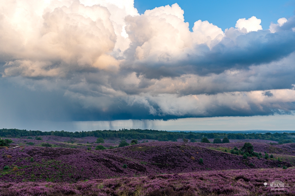 Heide landschap fotograferen, hoe doe je dat? – nldazuu fotografeert ...